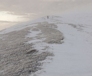 Is this the winter of our discontent?